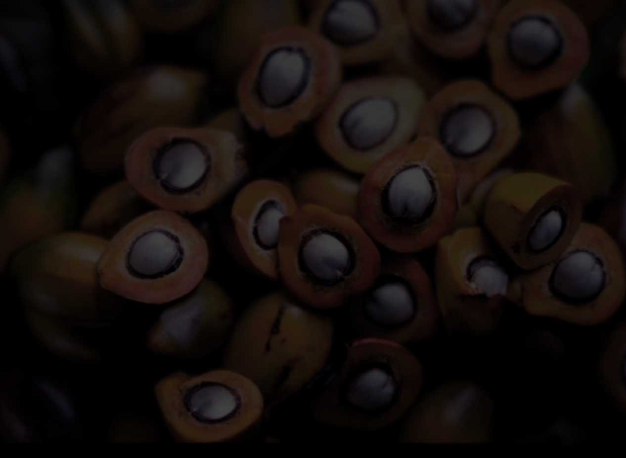 Batana Butter – MagicTree Superfoods